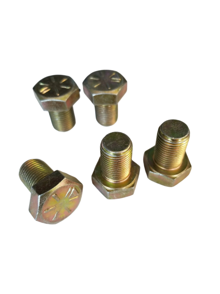 Cylinder Bolt Set ( 2 pieces) – Hi-low Custom Hydraulics